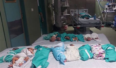 Premature Babies Are Dying At Gazas Al Shifa Hospital Qatar