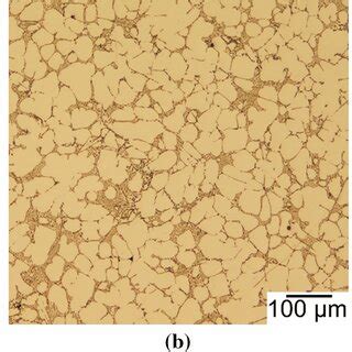 Optical Micrographs Of Dendritic Microstructures Representative Of The Download Scientific