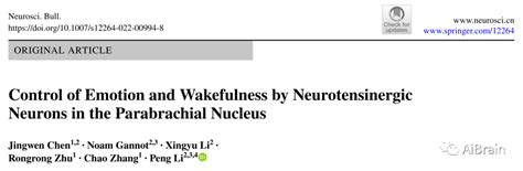 Nb丨密歇根大学李鹏教授丨臂旁核神经降压素神经元对情绪与觉醒的神经调控 脑医汇