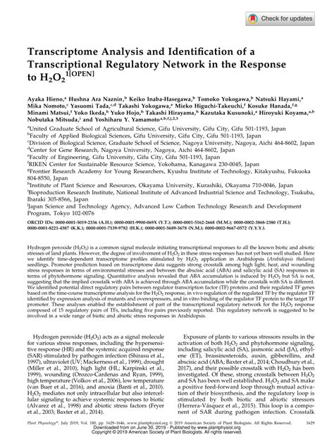 Pdf Transcriptome Analysis And Identification Of A Transcriptional Regulatory Network In The