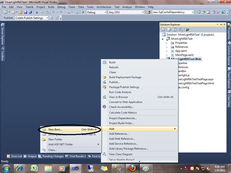 Silverlight Application With Ria Service
