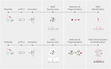 5 Reasons Why Dia Can Elevate Your Proteomics Research