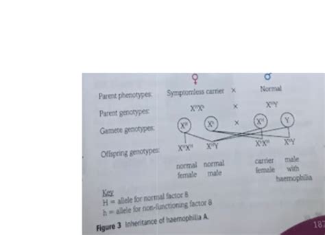 Sex Linkage Flashcards Quizlet Sex Linkage Flashcards Quizlet