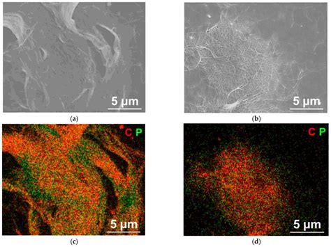 Ab Sem Images And Cd Corresponding Eds Combined Maps Of Carbon