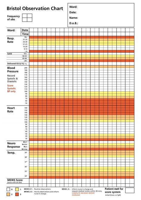 Bristol Observation Chart Day In The Life