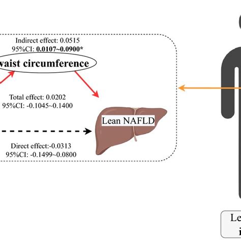 Mediation Of Waist Circumference On The Association Between Rs1260326 Download Scientific