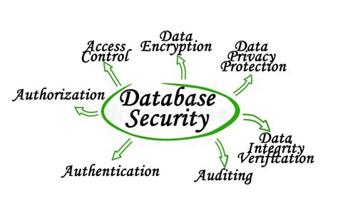 Components Of Database Security Stock Image Image Of Protection 4375 377484131