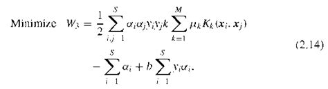 multi kernel support vector machines knowledge driven board level functional fault diagnosis