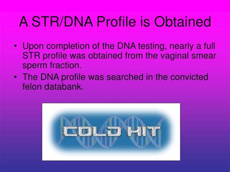 Ppt Dna Str Typing Powerpoint Presentation Free Download Id1135647