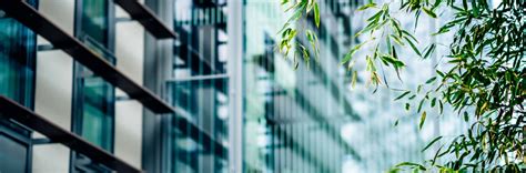 Python Developer For Analytics All Genders Fluent In English Porto Permanent Contract