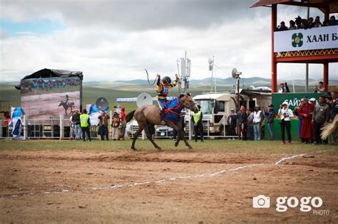 Шүдлэн насанд Архангай аймгийн Ж Уясахын бор үрээ түрүүллээ