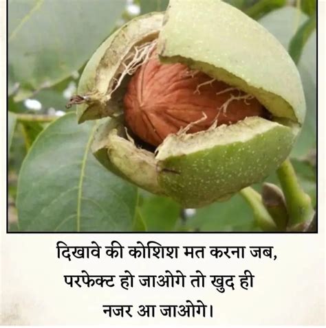 Dr Ajeet Singh On Linkedin Good Morning