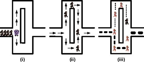 Figure 1 From Improved Antnet Routing Algorithm For Packet Switching