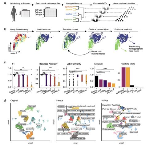 Antisense On Twitter Census Accurate Automated Deep Fast And Hierarchical ScRNA Seq Cell