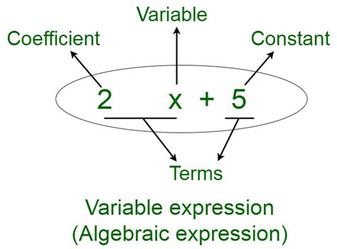 Constants And Variables In Math