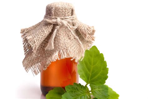 Patchouli Essential Oil Dark – Shay and Company Inc