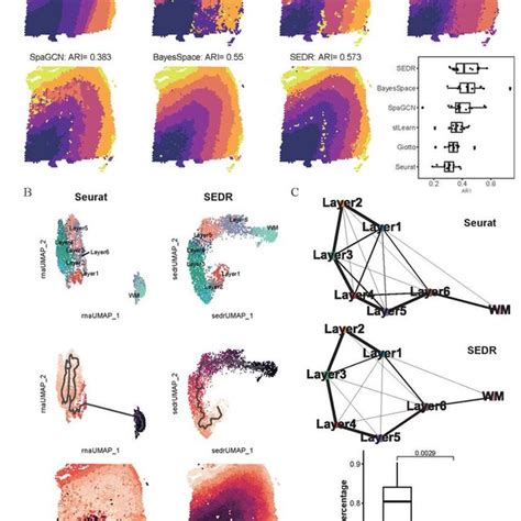 Pdf Unsupervised Spatially Embedded Deep Representation Of Spatial Transcriptomics