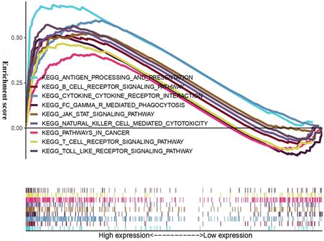 Gene Set Enrichment Analysis Gsea For Parp9 Download Scientific Diagram