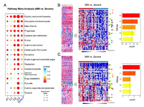 Metabolic Pathway Analysis And Cluster Heatmap Analysis Between