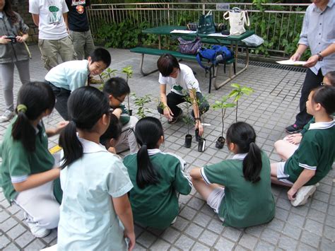 般咸道官立小學生態精英班 Bonham Road Government Primary School Eco Protectors 般咸