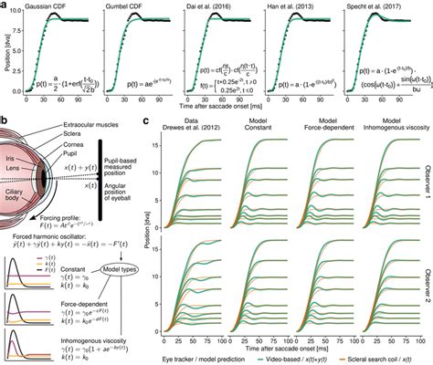 Modeling Saccades And Post Saccadic Oscillations A Collection Of Download Scientific Diagram