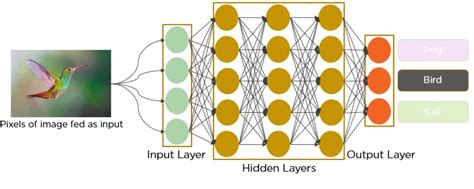 Convolutional Neural Network — Lesson 3 Local Receptive Fields And