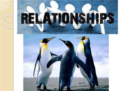 Relationships Module 6 Pptx