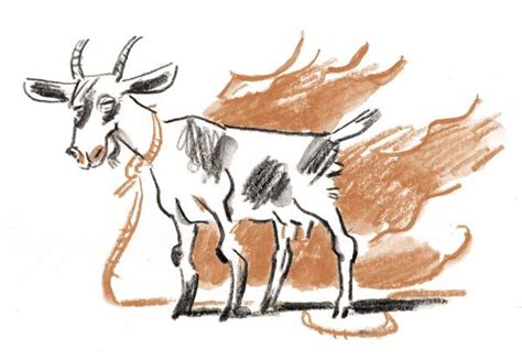 Читать Когда я был маленьким у нас была война… сборник Олефир Станислав Михайлович