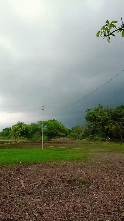 Barsat Ke Din Aaye Mulakat Ke Din Aaye 🌧 Song Rain Music Viral
