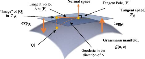 An Illustration Of Using Exponential And Logarithmic Mapping Functions Download Scientific