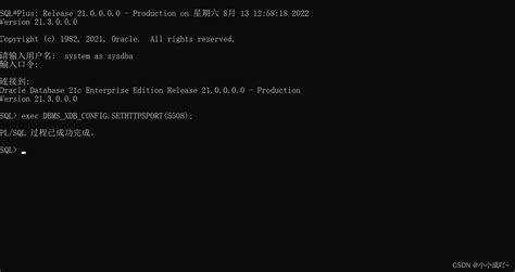 【最新】oracle21c 客户端工具sqldeveloper 与pl Sql Developer下载与安装oracle Sql Developer下载 Csdn博客