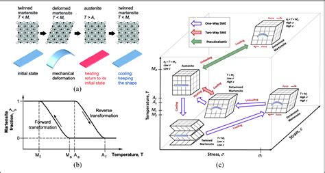 Figure 1 From The Role Of Niti Shape Memory Alloys In Quality Of Life