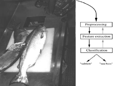 Introduction To Pattern Recognition And Machine Learning Charles