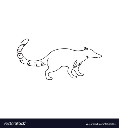 One Continuous Line Drawing Cute Coati Royalty Free Vector