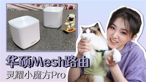 体积超小的wifi 6 Mesh路由华硕灵耀魔方pro｜多节点组网可轻松全屋覆盖 Youtube