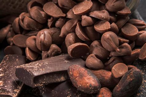 Granos De Cacao Y Chocolate Indcresa Proceso Del Cacao Del Grano Al