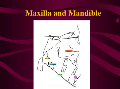 Cogs Analysis Cephelometrics For Orthognathic Surgery Fixed Orthodontics Courses India Ppt