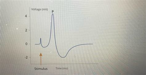 Solved What Graph Is This Chegg Com