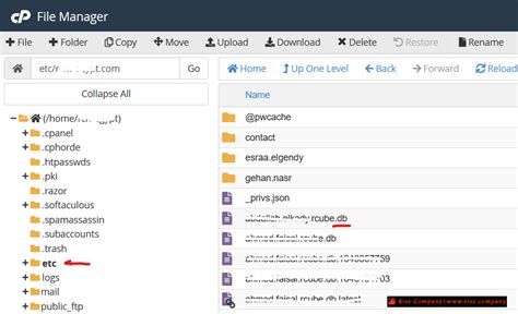 السي بانيل Cpanel حل مشكلة ايميل واحد Database Error Connection Failed Roundcube