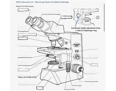 Label That Microscope Quiz