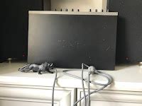 Infrequent Sound Sex Tex Technology