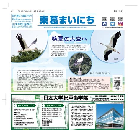 東葛まいにち新聞725号発行しました 東葛毎日新聞社