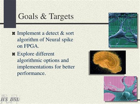 Ppt Spike Sorting Algorithm Implemented On Fpga Powerpoint