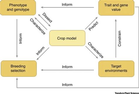 Crop Modeling In Agriculture Types And Advantages In Increasing Quality Yield FarmPally