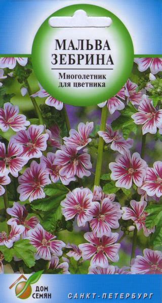 Многолетники для альпийской горки, Мальвы Дом Семян Мальва многолетняя ...
