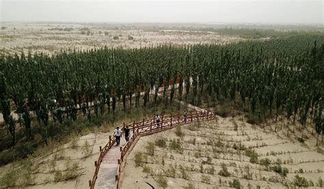 Chinas National Forest Protection Project A Path To Greener Lands Youlin Magazine