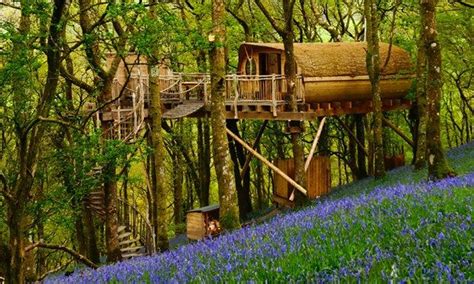 Treehouses Google Search Tree House Uk Holidays Uk Summer Holidays
