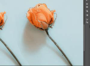 How To Use Lasso Tool In Photoshop Quick Tips Guides