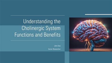 Understanding The Cholinergic System Functions And Benefits Ppt Presentation St Ai Ppt Example