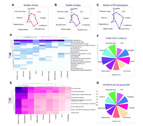 Analysis Of Region Specific Easr Genes Co Expression Networks Radar Download Scientific